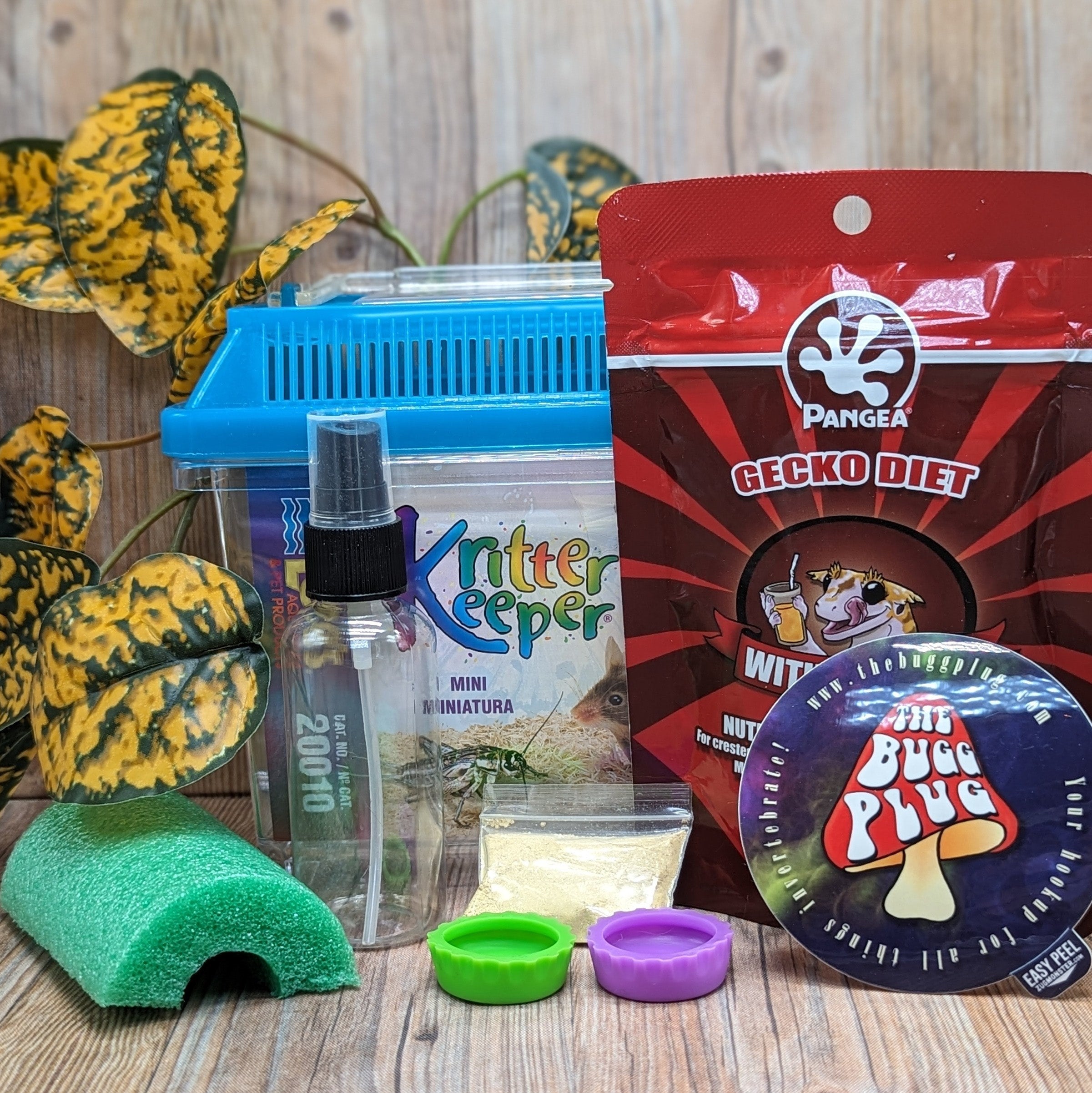 Gecko Starter Kit | The Bugg Plug