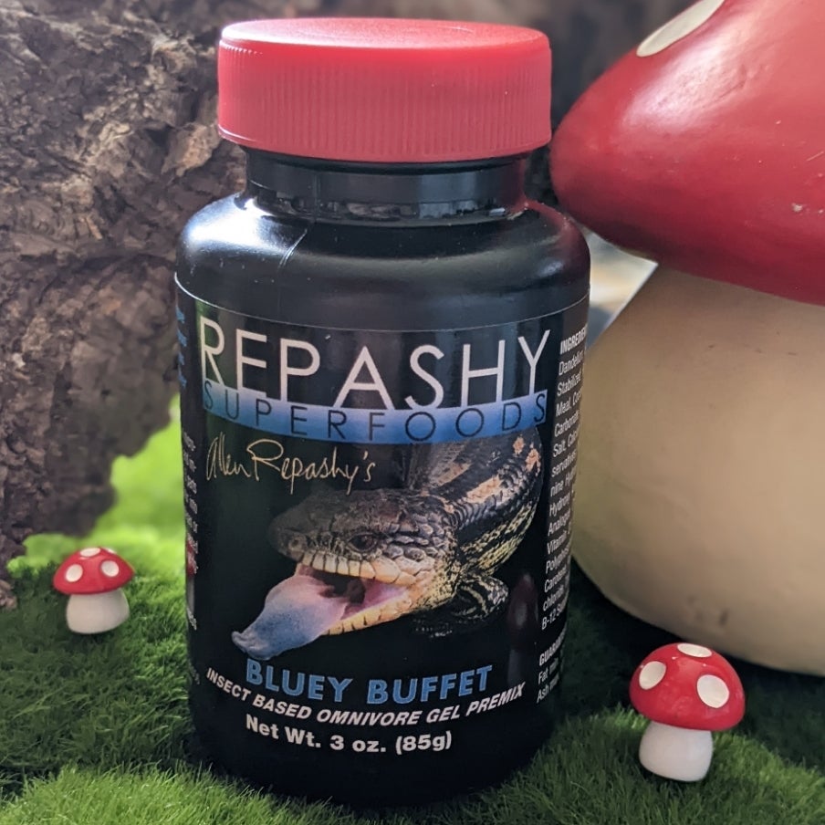 REPASHY Bluey Buffet | The Bugg Plug