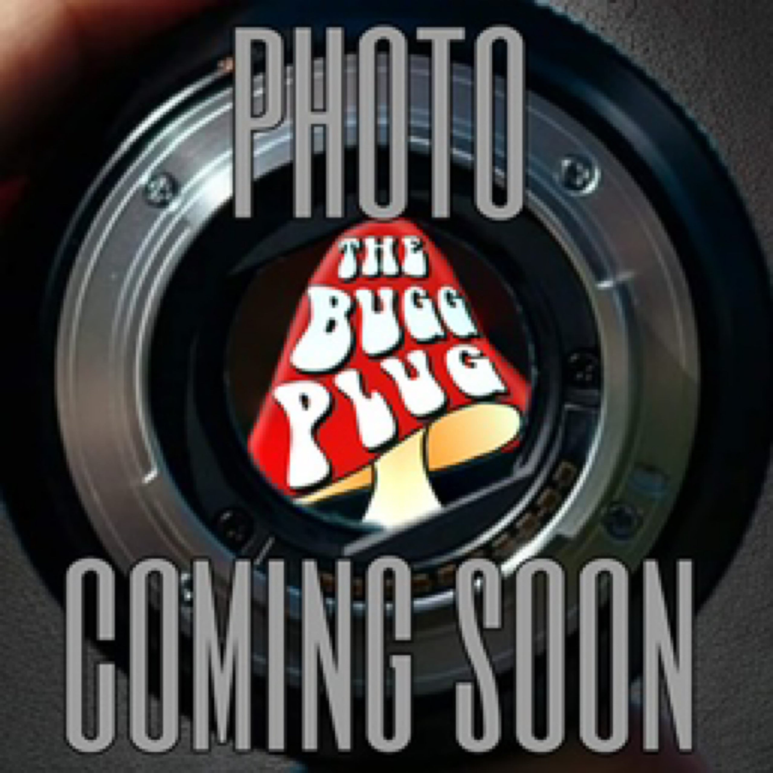 Neoholothele incei ~ Trinidad Olive "Gold" Tarantula (Pickup OR FedEx ...