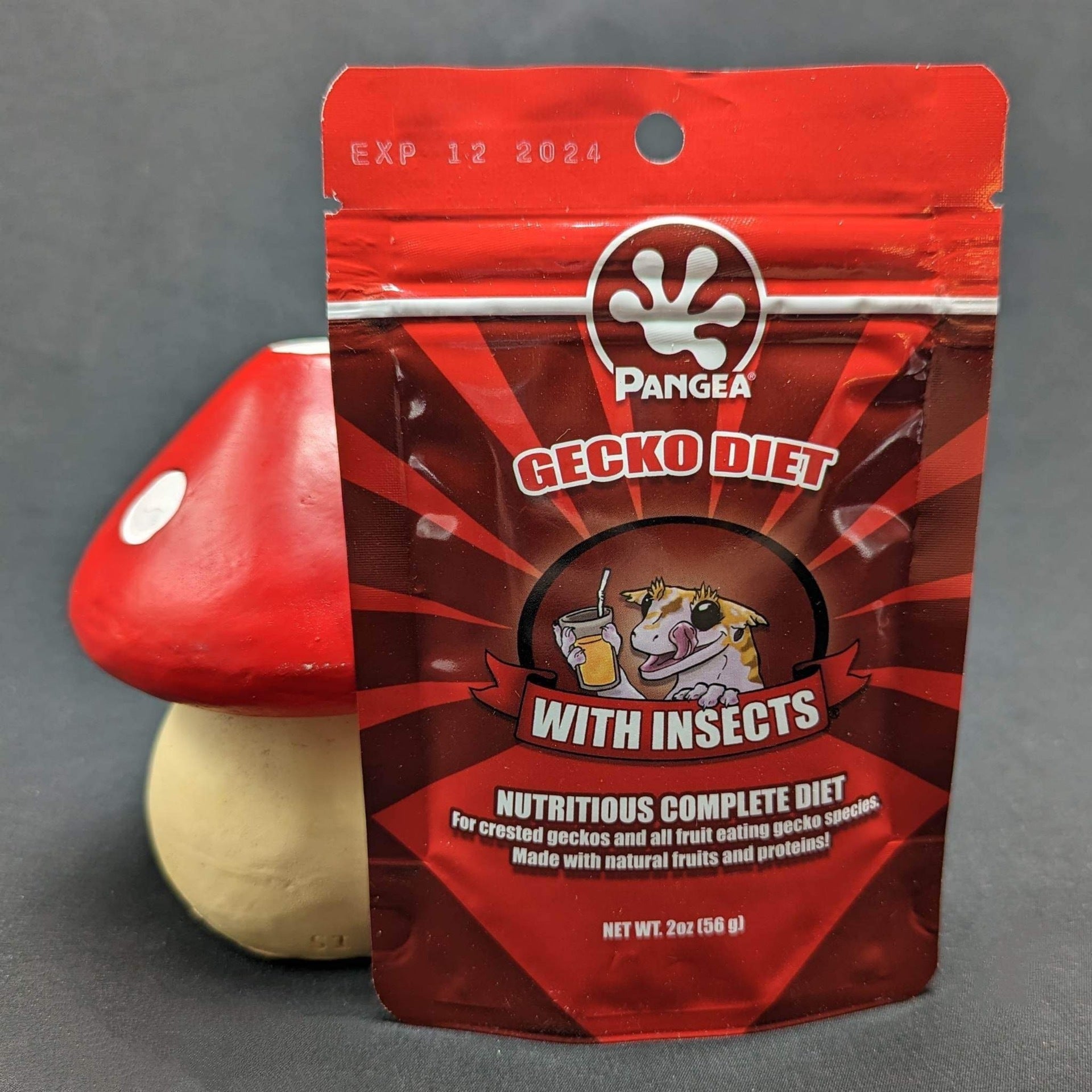 Pangea with Insect (Red) Gecko Diet | The Bugg Plug